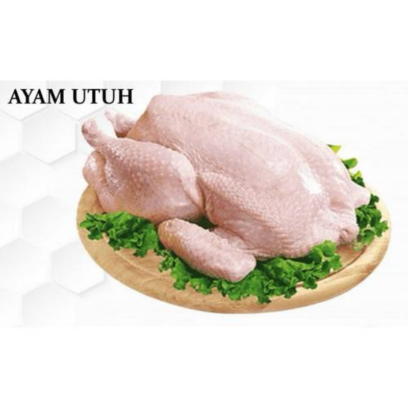 Jual Ayam Utuh 1kg | Shopee Indonesia