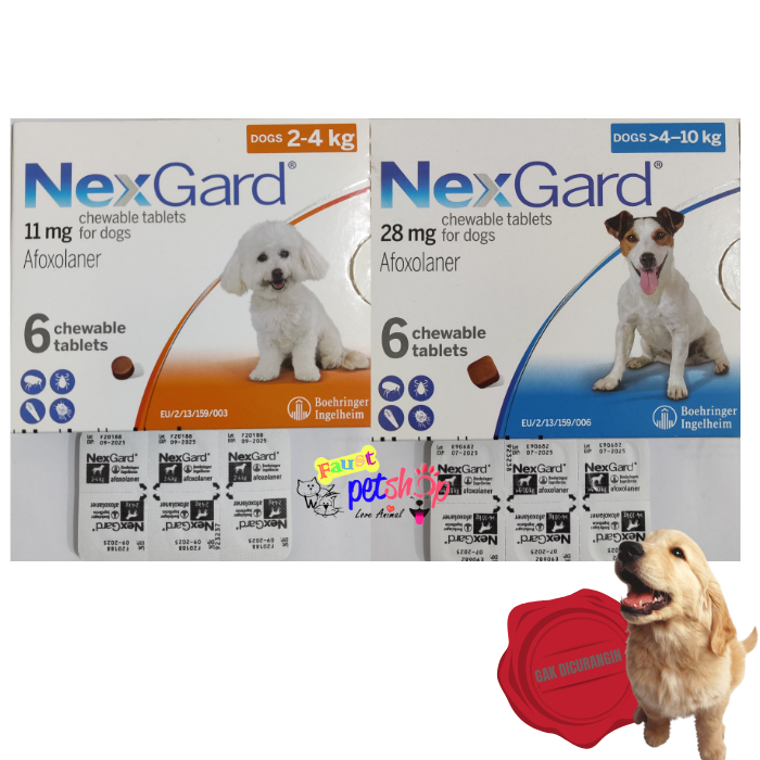 Jual NexGard Chewable Tablets Obat Kutu Anjing Dog Medicine Flea & Tick | Shopee Indonesia