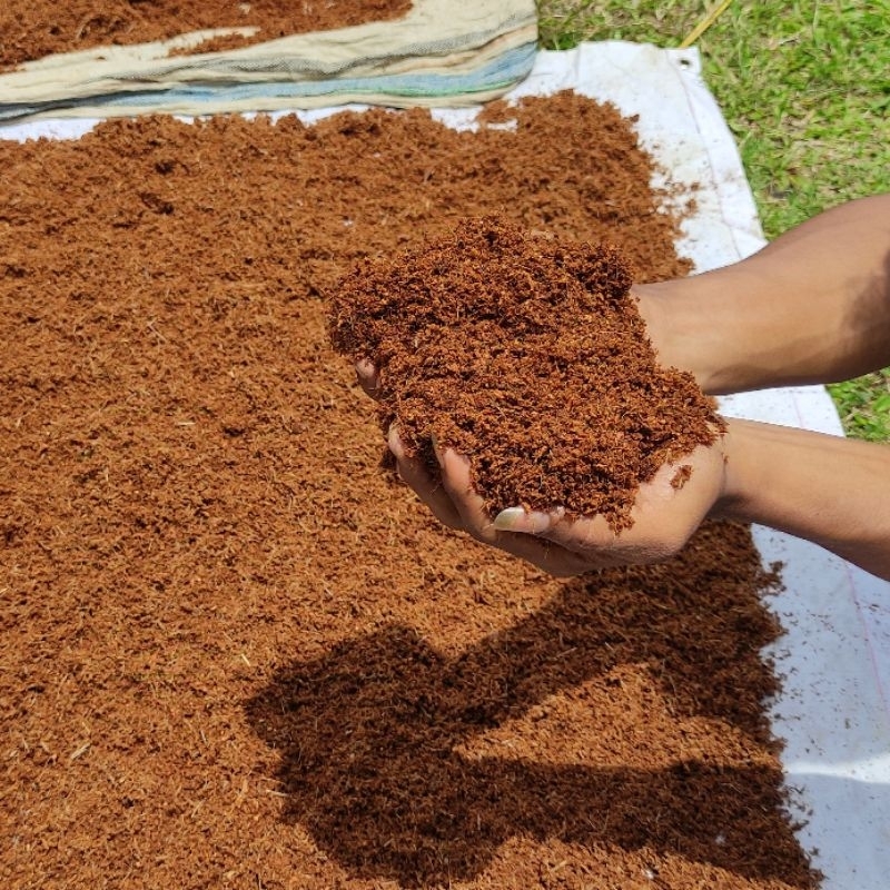 Jual SIAP PAKAI - COCOPEAT kokopit Sabut kelapa 1kg | Shopee Indonesia