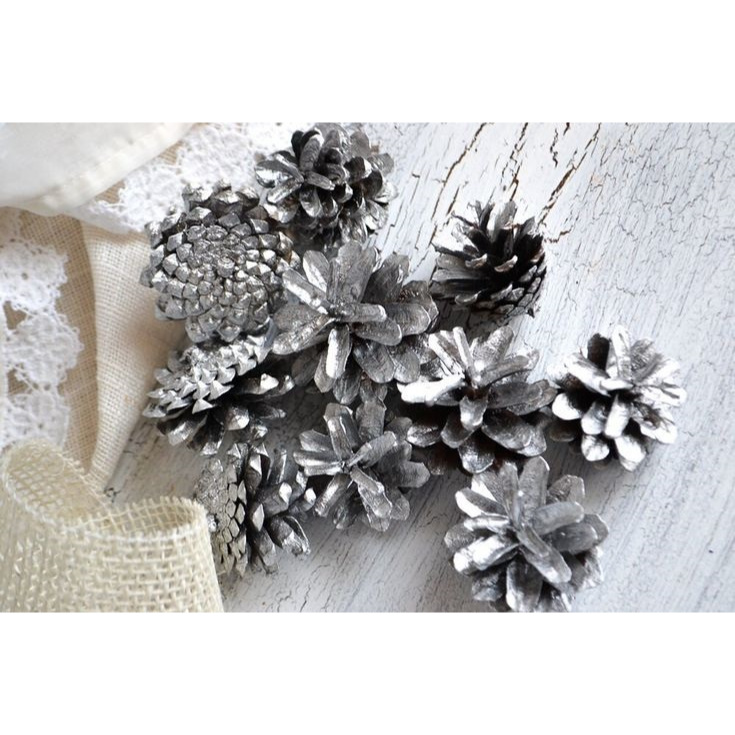 Jual BUNGA PINUS KERING WARNA PERAK SILVER HIASAN POHON NATAL CHRISTMAS ...