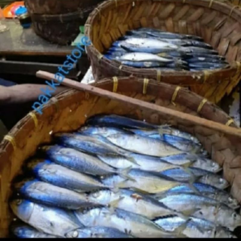 Jual Ikan Kembung Rebus/Gembung Rebus 1kg Khusus GOSEND | Shopee Indonesia