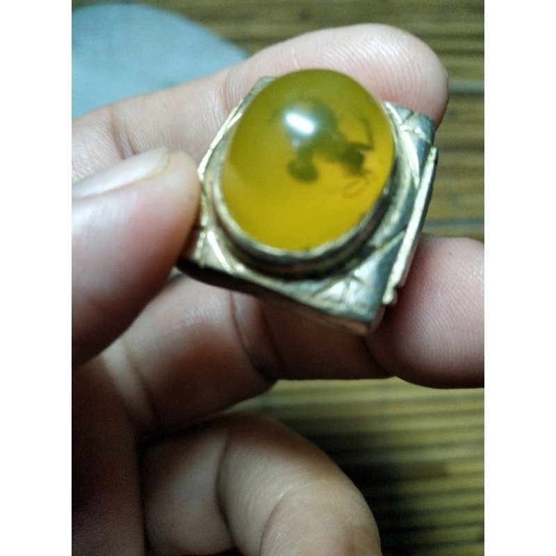 Jual Batu Posil Amber Getah Pohon Natural Unik dan Antik kode 32/672 ...