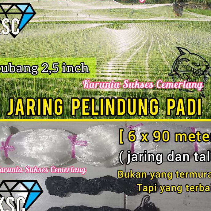Jual Pilihan JARING BURUNG 25 INCH JARING EMPRIT SAWAH JARING PADI ...