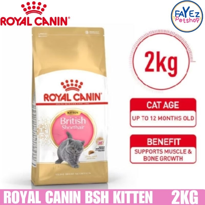 Jual Royal canin british shorthair kitten 2kg (makan kering anak kucing ...