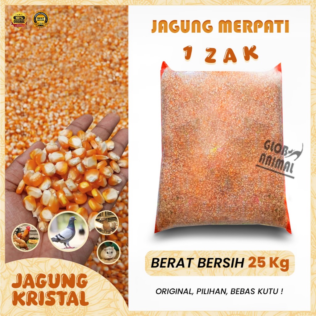 Jual PAKAN BURUNG JAGUNG KRISTAL ZAK 25KG jagung pipil unyil pakan ayam ...