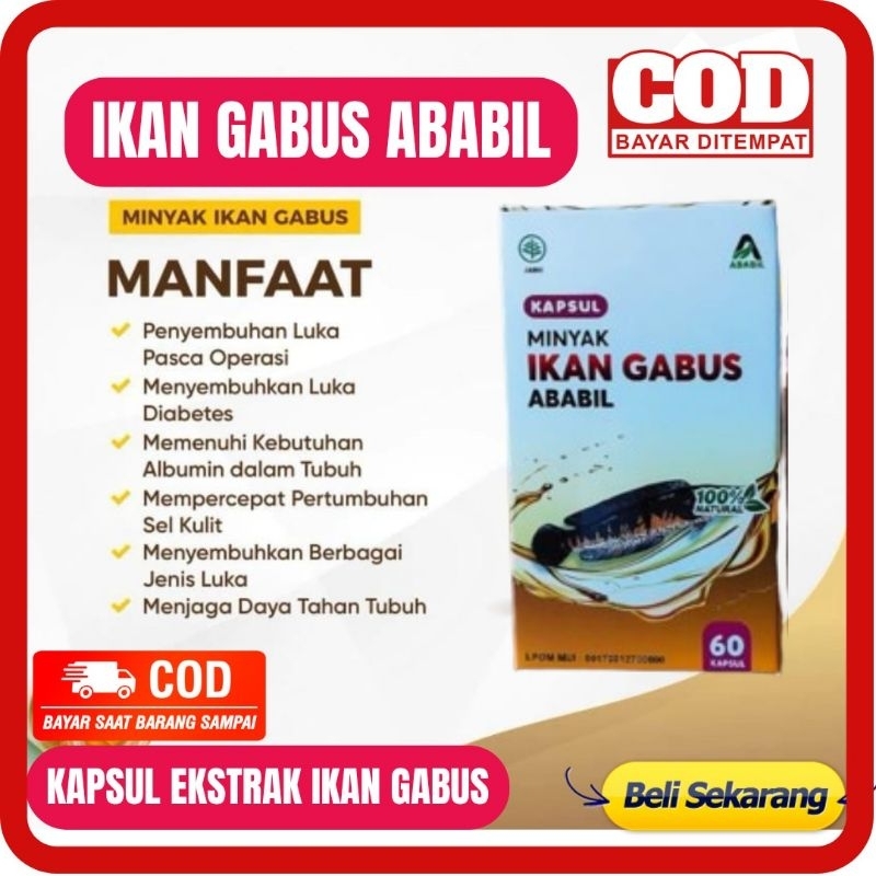 Jual KAPSUL IKAN GABUS ABABIL ISI 60 - KAPSUL MINYAK IKAN GABUS ABABIL IKAN KUTUK EKSTRAK IKAN ...