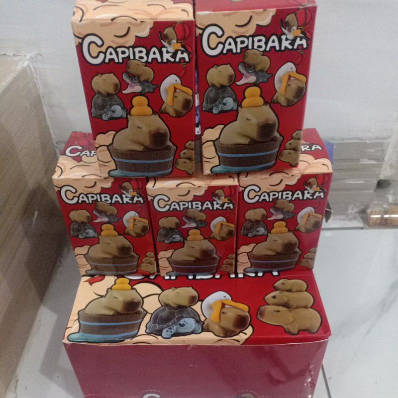 Jual BLIND BOX CAPI BARA | Shopee Indonesia