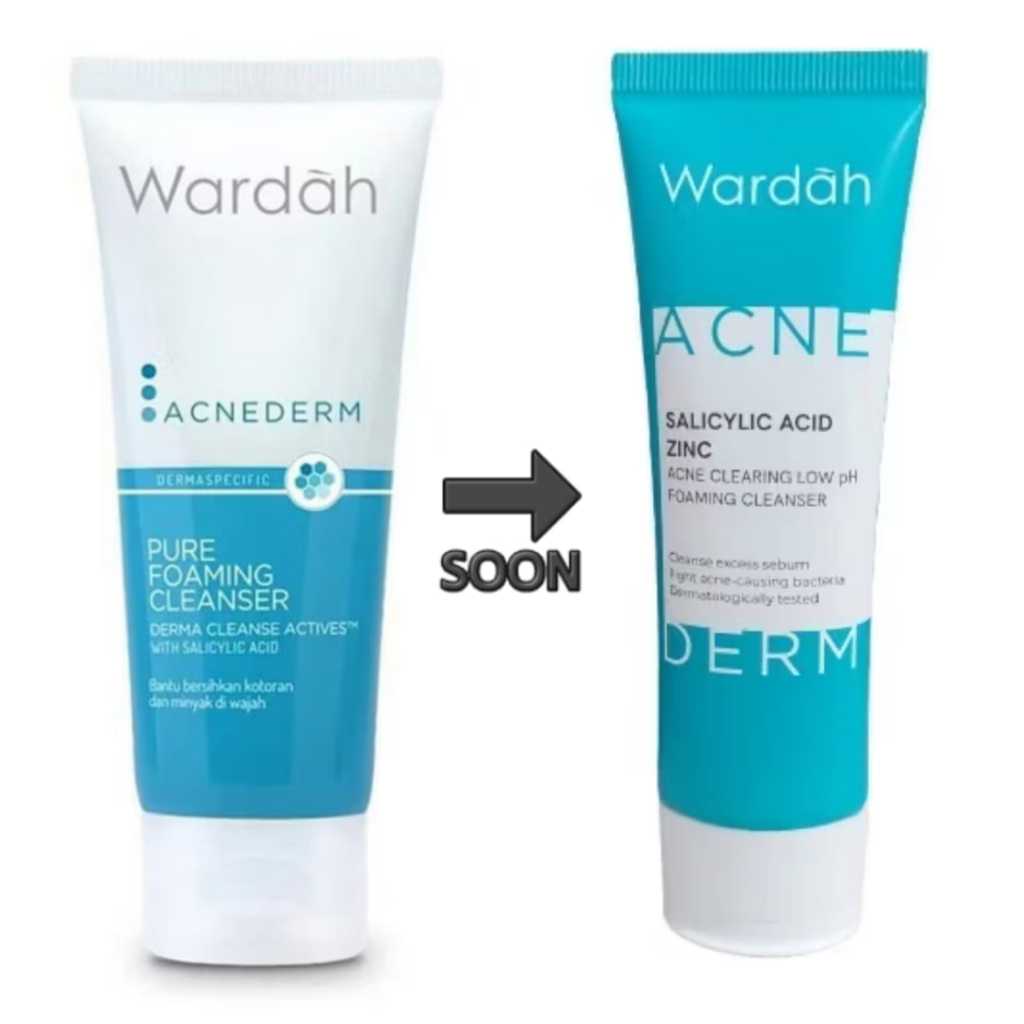 Jual Wardah Acnederm Salicylic Acid Zinc Acne Clearing Low pH Foaming ...