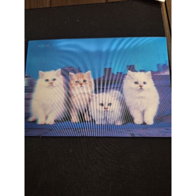Jual kartu pos 3D kucing cat 3D postcard | Shopee Indonesia