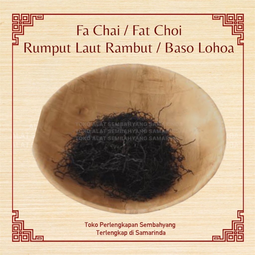 Jual Fa Chai / Fat Choi / Rumput Laut Rambut/ Baso Lohoa | Shopee Indonesia