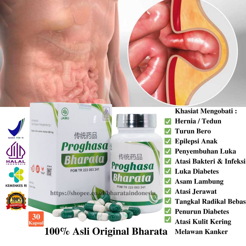 Jual Obat Hernia Turun Berok Tedun Herbal Ampuh PROGHASA BHARATA ...