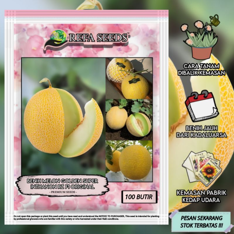 Jual REFA (100 Butir) Benih Melon Golden Inthanon rz Original 100% ...