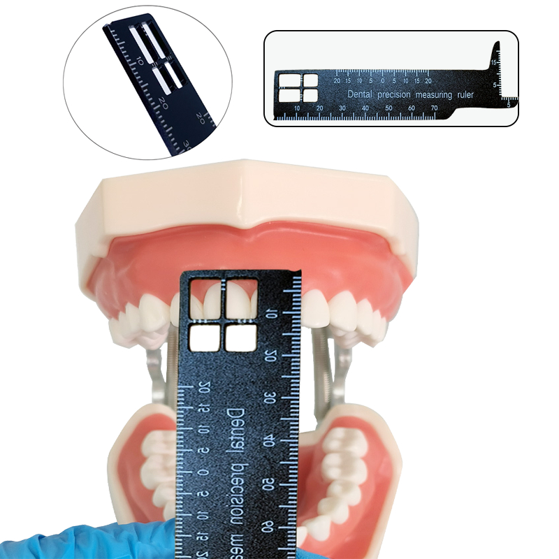 Jual Dental Precision Measuring Ruler Double Sided Photography Gauge ...
