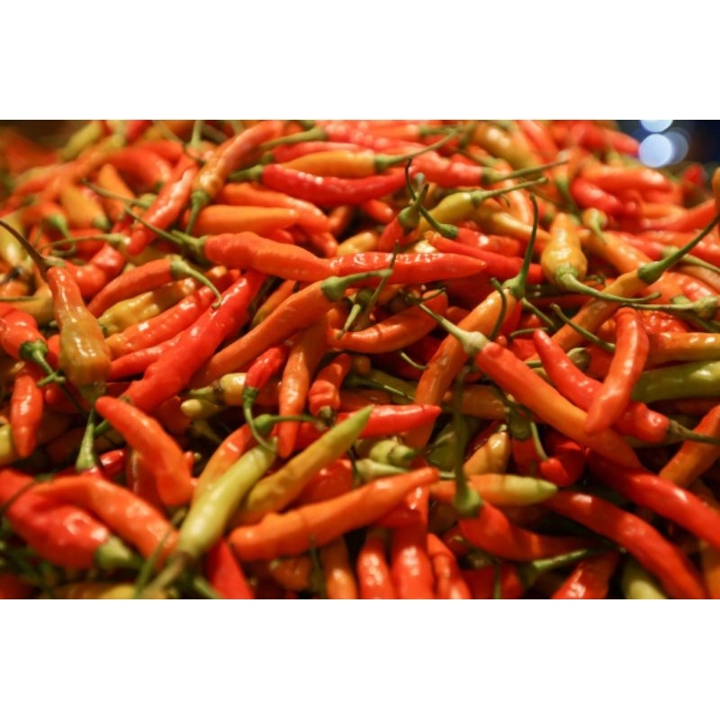Jual Cabe Cabai Rawit Ori 1kg | Shopee Indonesia