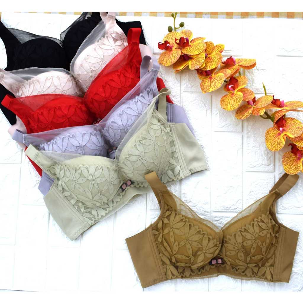 Jual Premium BRA Cup C Berkawat Busa Tipis BH Wanita Dewasa Penutup Samping Lebar Kait 4 Bahan ...