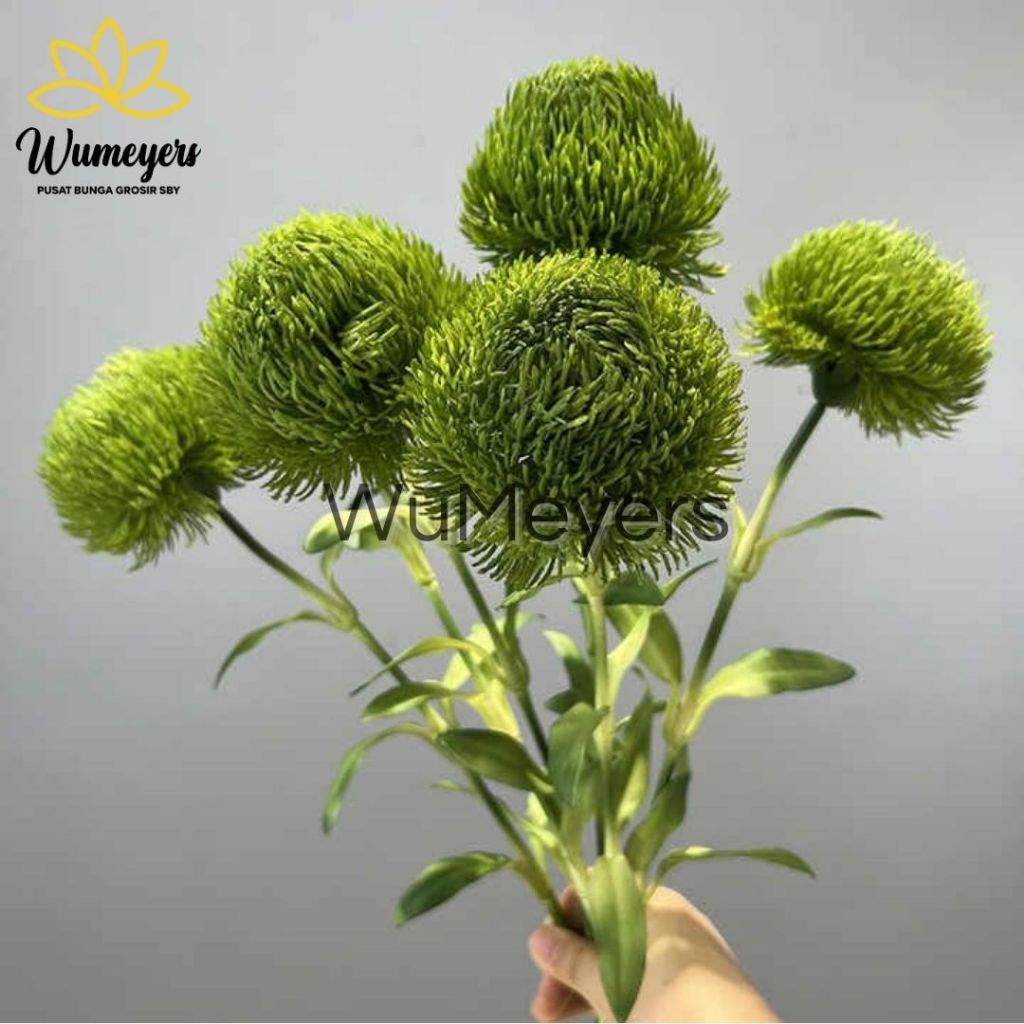 Jual WM DANDELION STEM GREEN BALL DIANTHUS TANGKAI PANJANG ARTIFICIAL ...