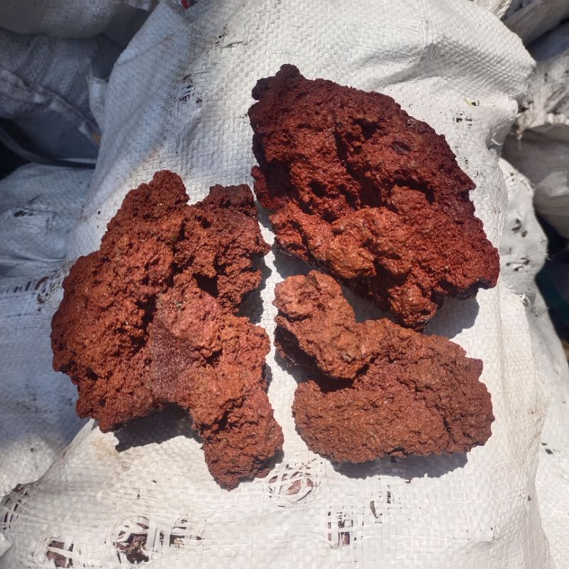 Jual Batu Lava Rock 6 kg / Batu Lava / Volcano Stone Red / Batu Merah ...