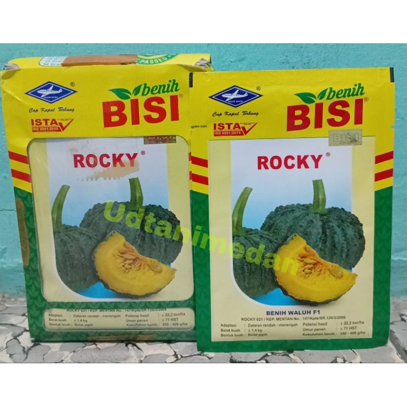Jual Benih Labu Kuning Hibrida Rocky isi 5 gram | Shopee Indonesia
