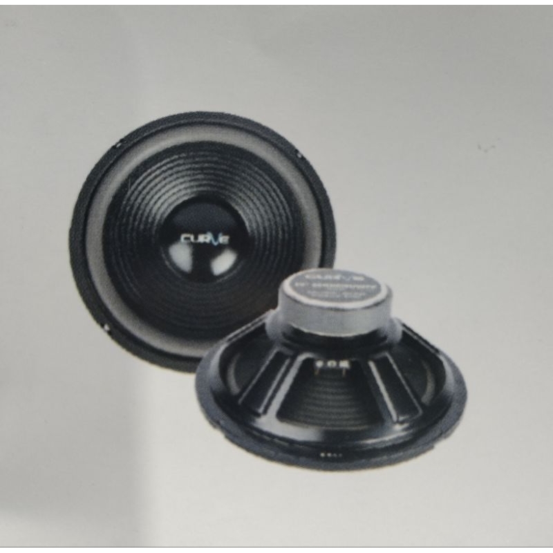 Jual Speaker 12 inch 30H120SRW38B Curve (PLS) | Shopee Indonesia