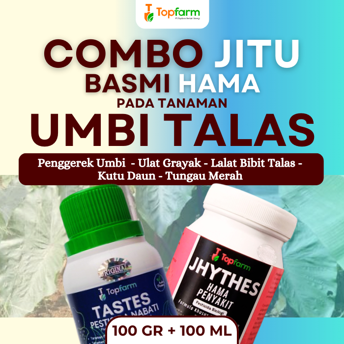 Jual Insektisida Topfarm / Obat Jamur Tanaman Umbi Talas / Obat Busuk ...