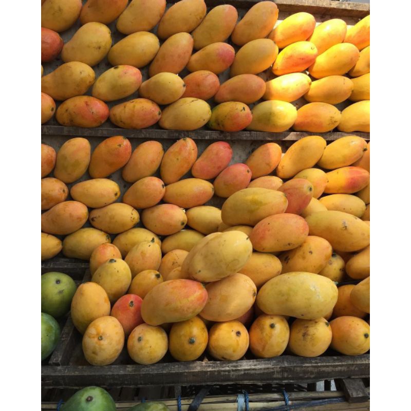 Jual Mangga Podang Masak Pohon Berat 1 Kg | Shopee Indonesia