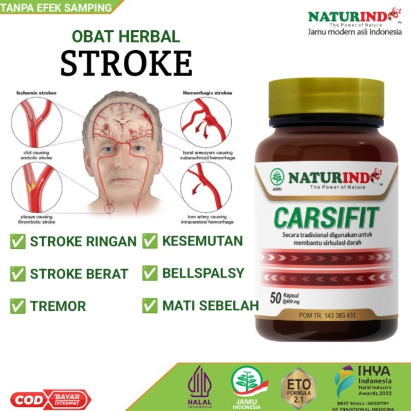 Jual Obat Stroke Struk Herbal Obat Stroke Ringan Berat Lumpuh Menahun ...