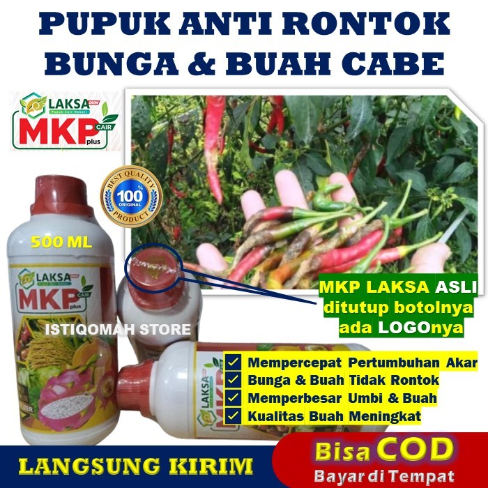 Jual Pupuk MKP Cair Plus LAKSA GROW 500ml Pupuk Pencegah Rontok Buah Cabe Cabai Ampuh - Obat ...