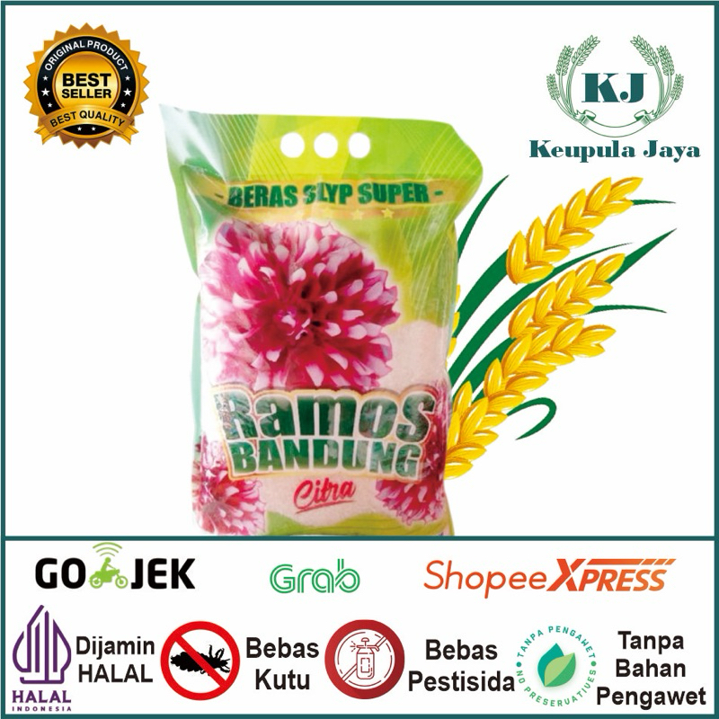 Jual BERAS RAMOS BANDUNG CITRA 5 LITER | Shopee Indonesia