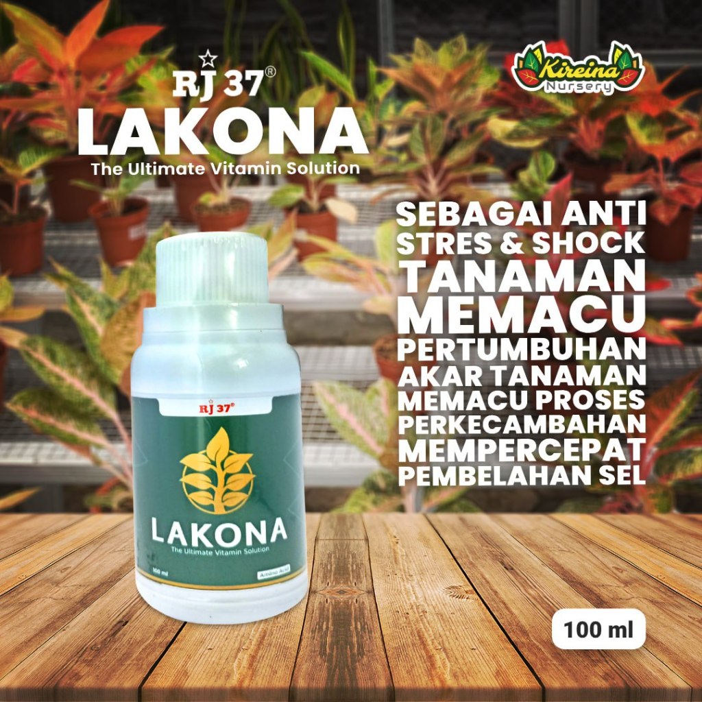 Jual RJ 37 Lakona - The Ultimate Vitamin Solution 100ml | Shopee Indonesia