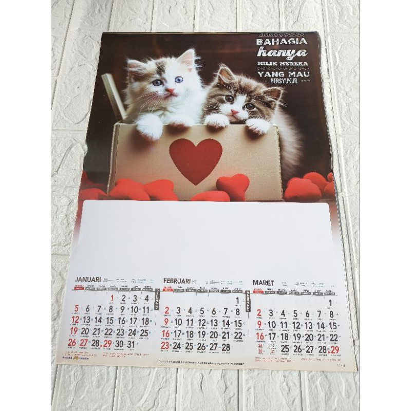 Jual kalender triwulan/ caturwulan kucing 2025 | Shopee Indonesia