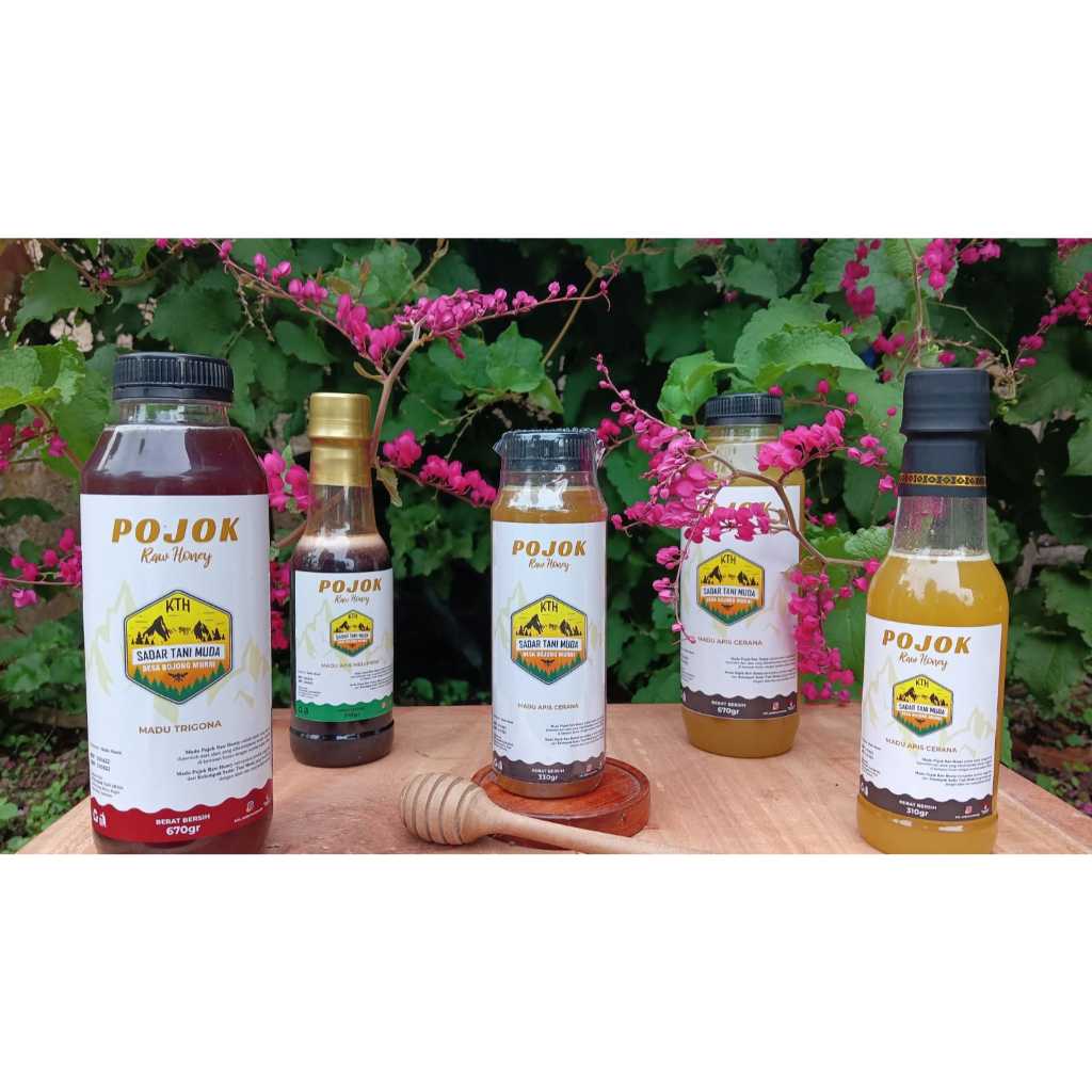 Jual MADU MURNI 100%|MADU APIS MELIFERA 670 GRAM | Shopee Indonesia