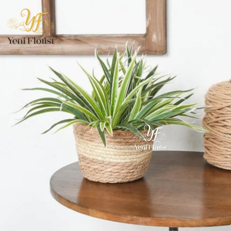 Jual daun film anggrek daun ilalang Lily Paris daun artificial | Shopee ...