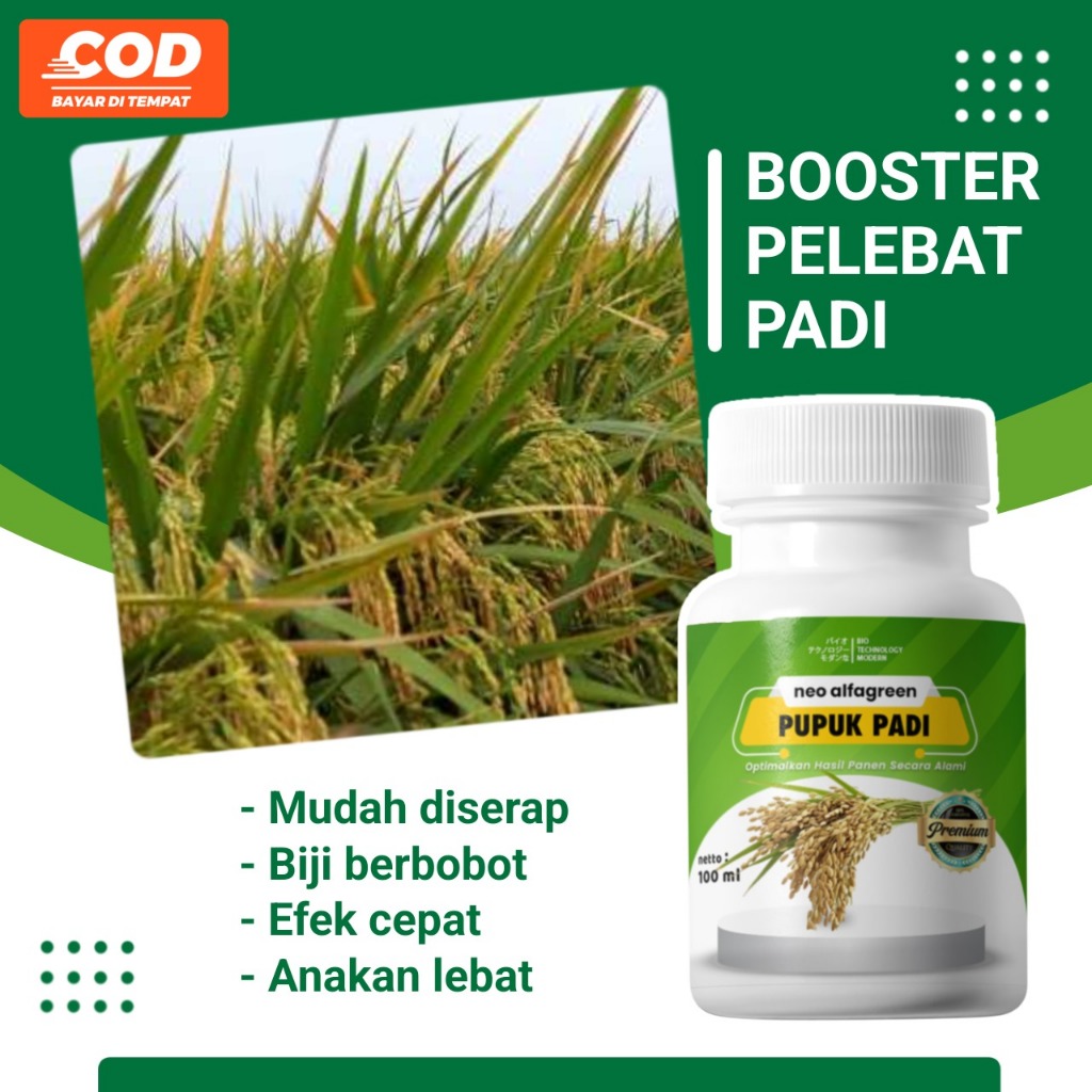 Jual Pupuk Organik Penyubur Padi Peningkat Bobot Pupuk Anakan Padi ...