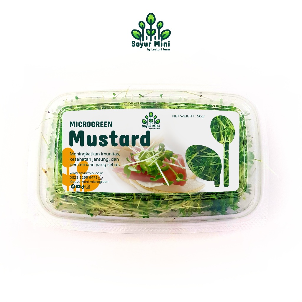 Jual SAYUR MINI Microgreen Mustard 50gr - Salad Microgreen - Fresh Cut ...