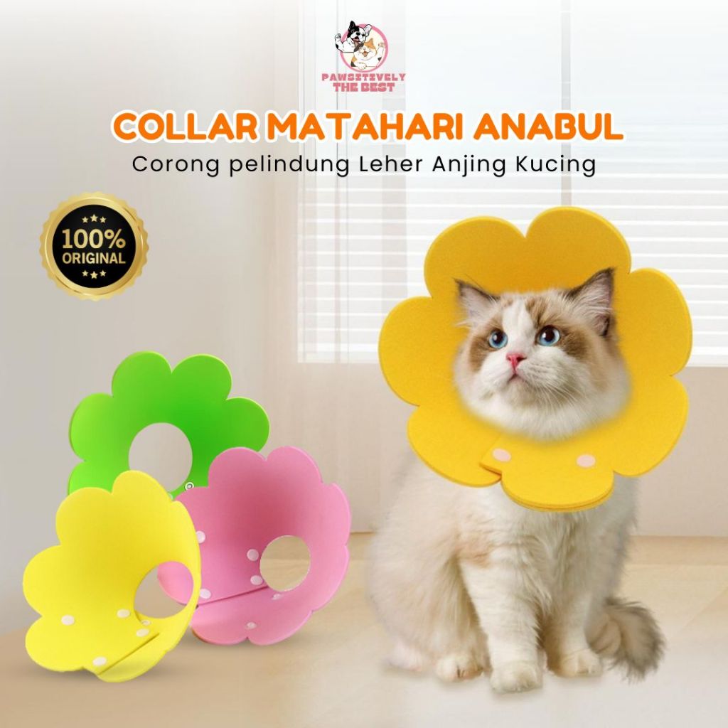 Jual Corong Penutup Leher Anjing Kucing BAHAN EVA - Collar Matahari ...