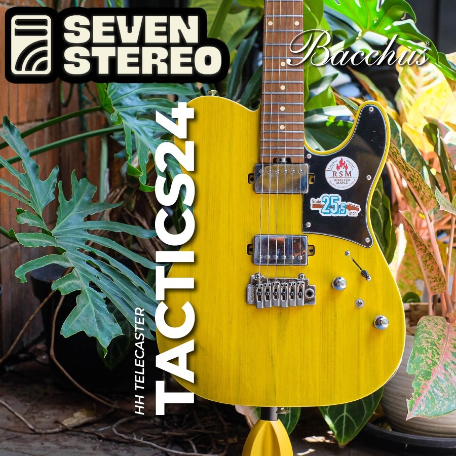 Jual Bacchus Global Series TACTICS24 ASH/RSM Ash Body HH Telecaster in Blonde | Shopee Indonesia