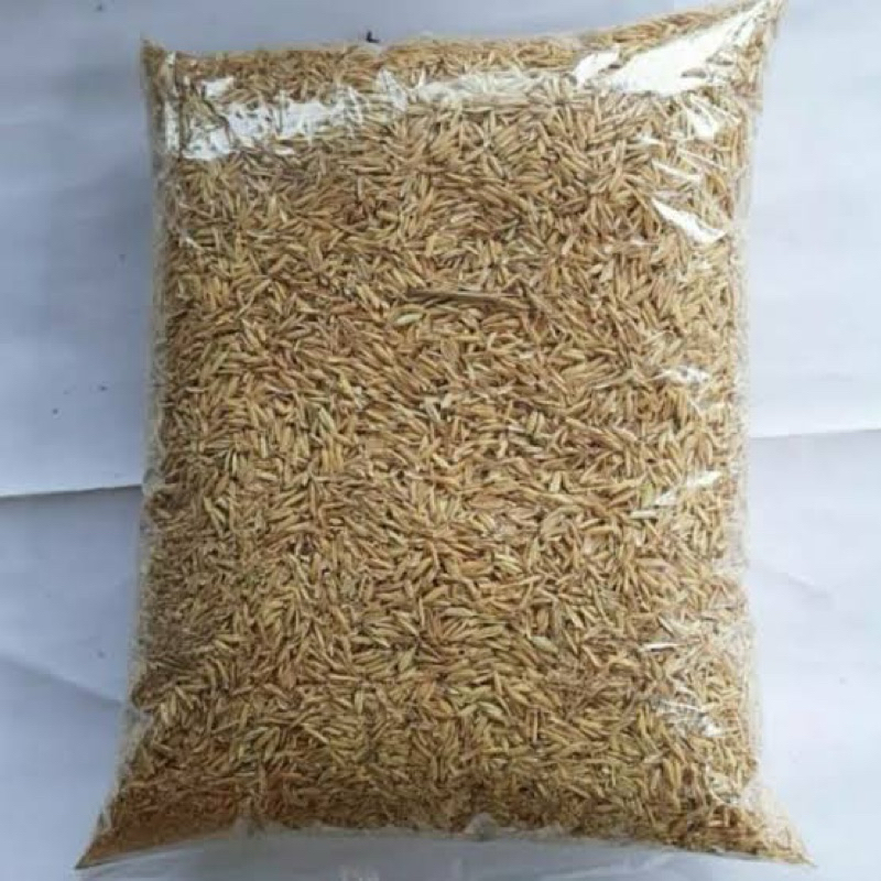 Jual Media Tanam Sekam Cocok Dibuat Tanaman Tabulampot | Shopee Indonesia