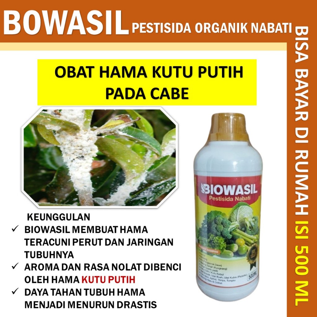 Jual Obat Semprot Hama Kutu Kebul untuk Semua Tanaman Bagus Ampuh ...