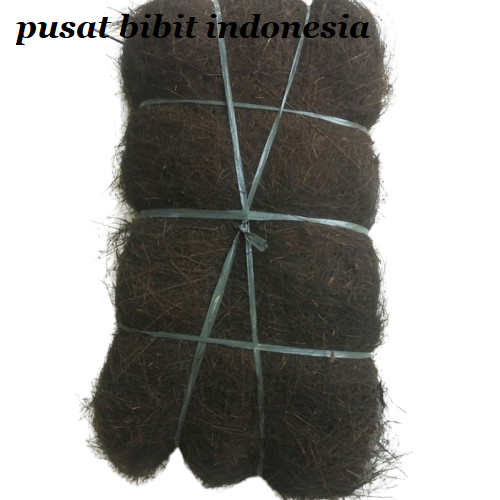 Jual 1 kilo Ijuk aren resapan /ijuk aren filter air/ijuk aren//ijuk ...
