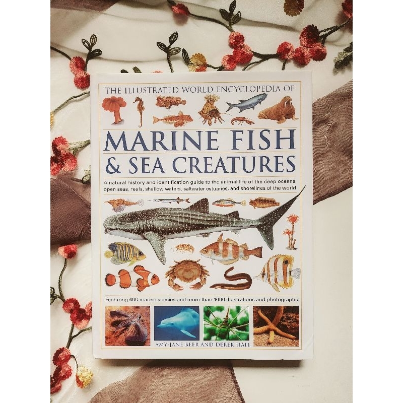 Jual Illustrated World Encyclopedia of Marine Fish & Sea Creatures by ...
