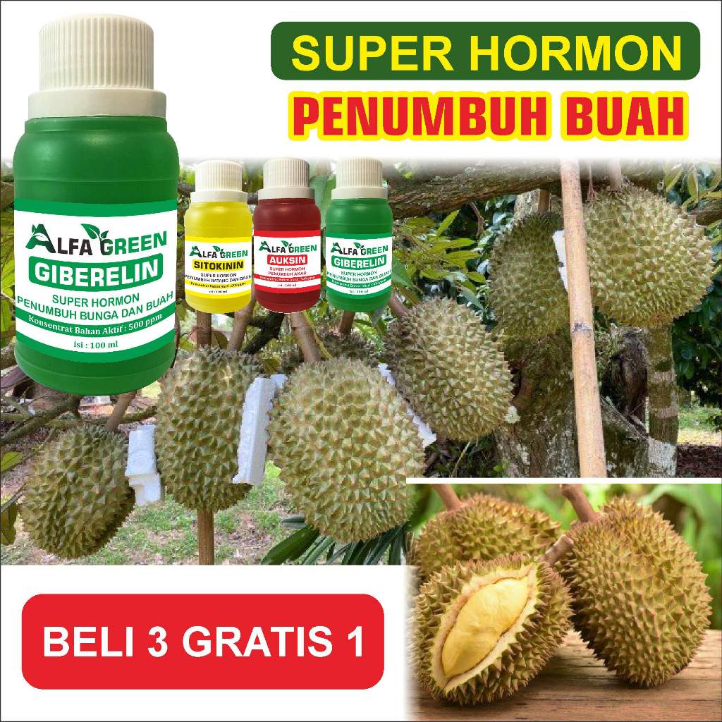 Jual Hormon Tanaman Pupuk Hayati Organik Pelebat Buah Pengatur Tumbuh ...