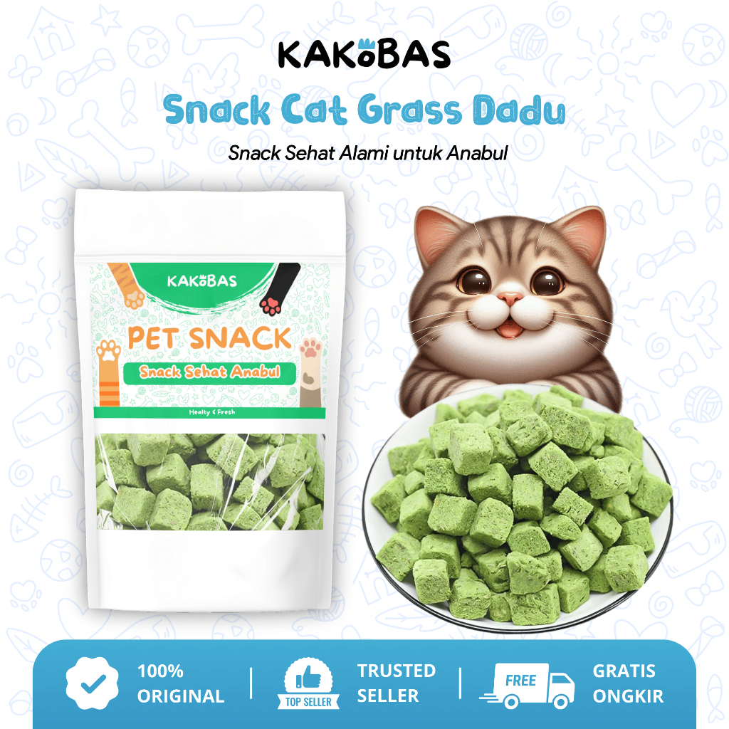 Jual Cat Grass Premium Grass Wheatgrass - Snack Kucing Campuran Catnip ...
