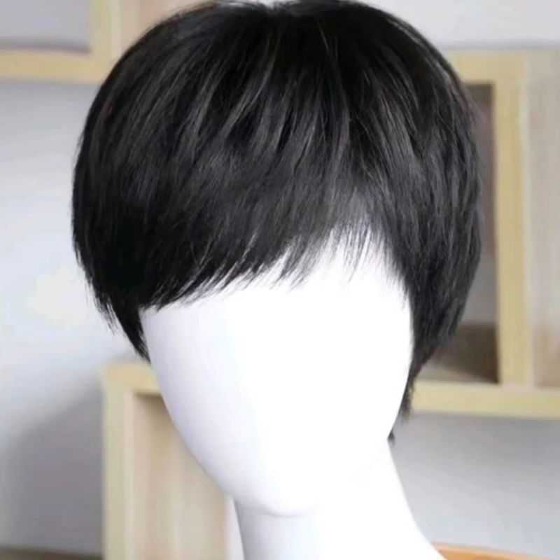 Jual Wig Pria Korea Rambut Pendek Warna Hitam | Shopee Indonesia