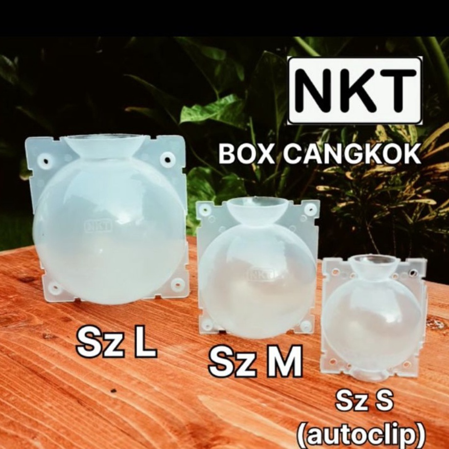 Jual Klik Pesan NKT Bola Cangkok 5 8 12 14 Bening Alat Cangkok Tanaman Model Bola Pohon ...