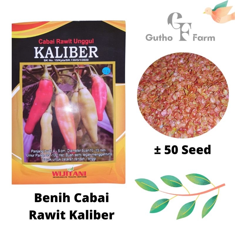 Jual Cabe Rawit Pedas Kaliber Repack ± 50 Biji - Cabai Setan Ekstra ...