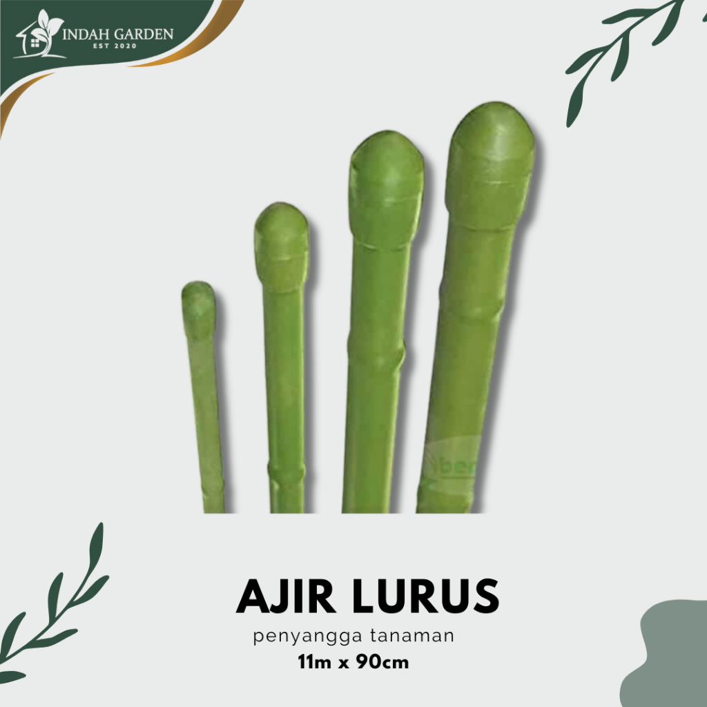 Jual Ajir tanaman merambat penyangga ajir lurus plant stake 11mm x 90 cm | Shopee Indonesia