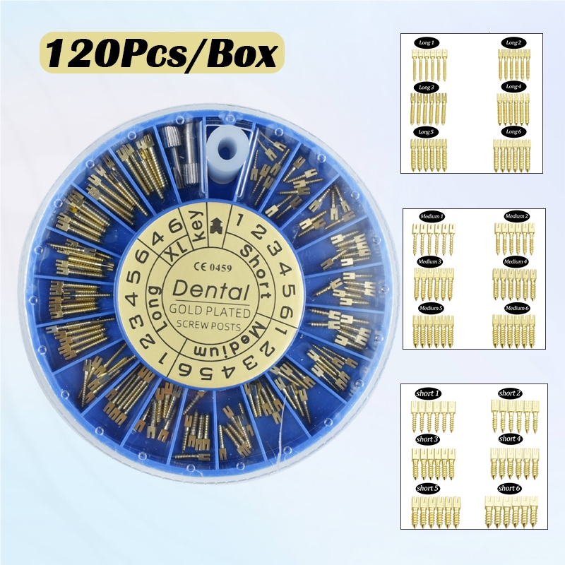 Jual Dental Stainless Steel Screw Post Dental Golden Plated Screw Post ...