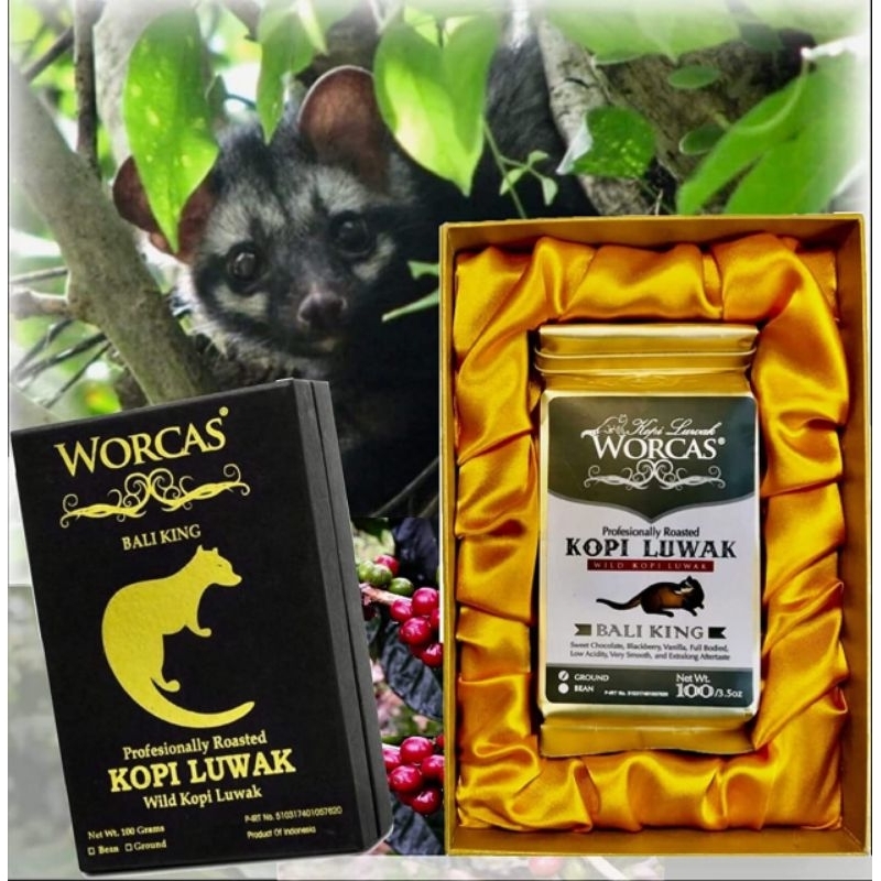 Jual Kopi Luwak Bali King Medium box 100gr | Shopee Indonesia