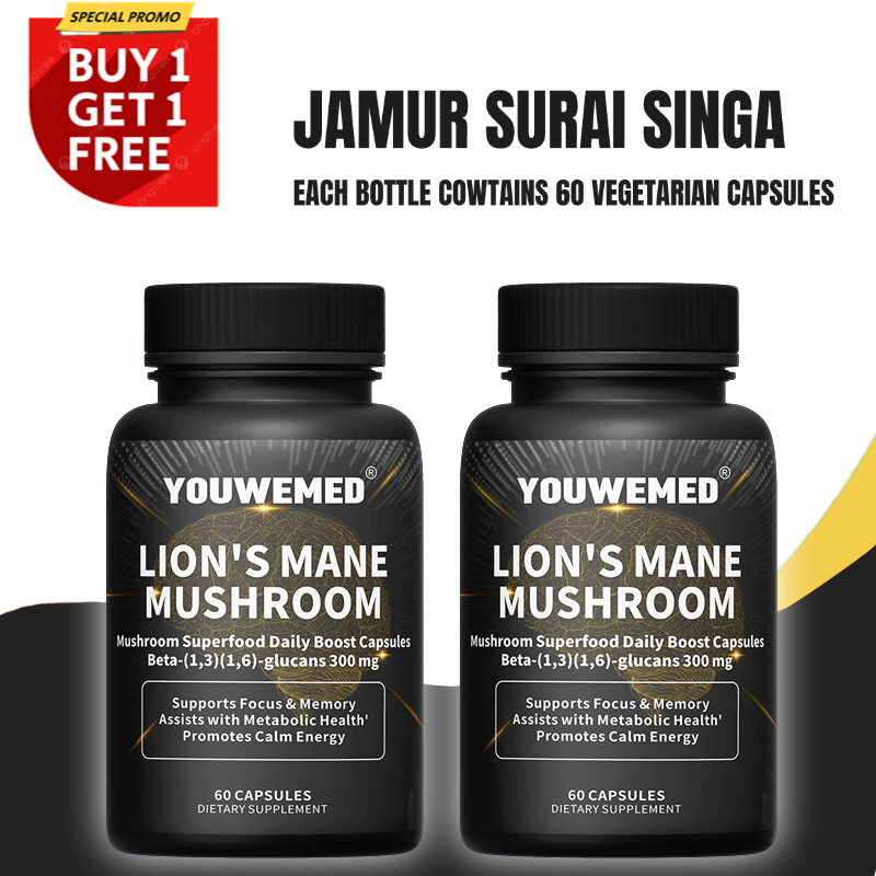 Jual Jamur Surai Singa, Meningkatkan Kesehatan Otak dan Meningkatkan ...