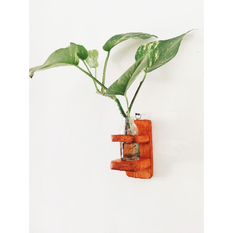 Jual Pot Dinding Estetik/Wall Planter | Kayu Jati Belanda | Shopee ...